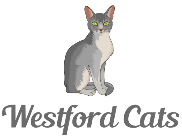 Blogs - westfordcats